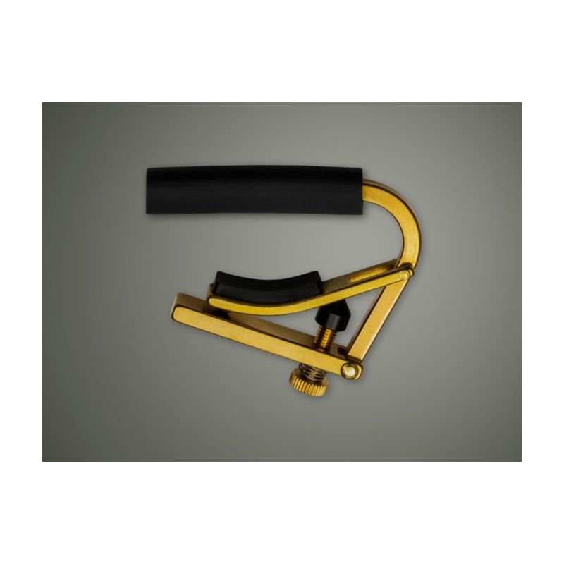 Shubb Capo C1b / Steel+Western brass | Tonefactory